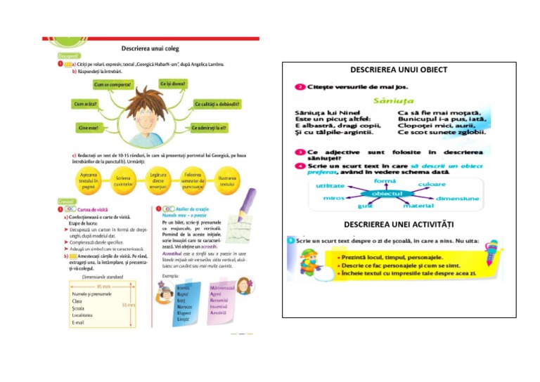 Descrierea Unui Obiect | PDF