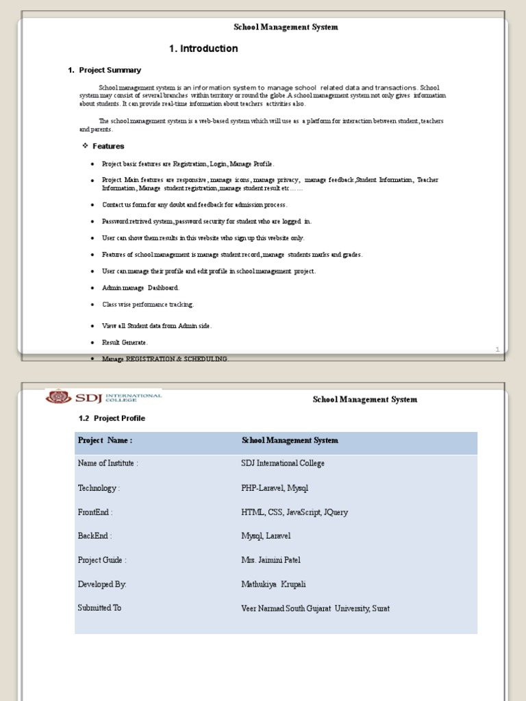 Minor Project Krupali | PDF