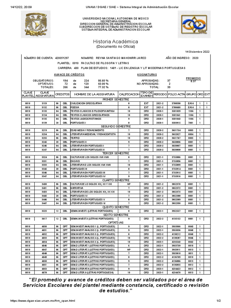 SIAE (Panel de Control) | PDF