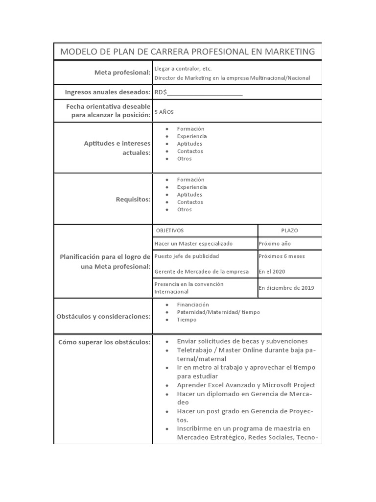 PLAN DE CARRERA | PDF