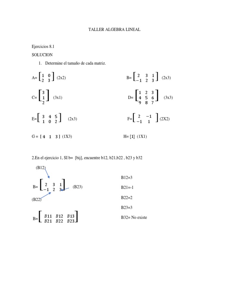 Algebra Lineal | PDF