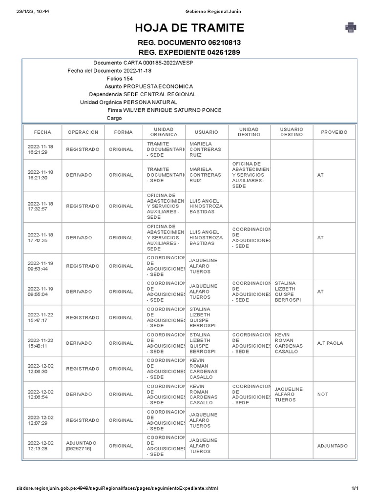 Gobierno Regional Junín | PDF
