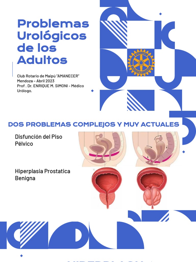 Problemas Urologicos de Los Adultos | PDF | Vejiga urinaria | Micción