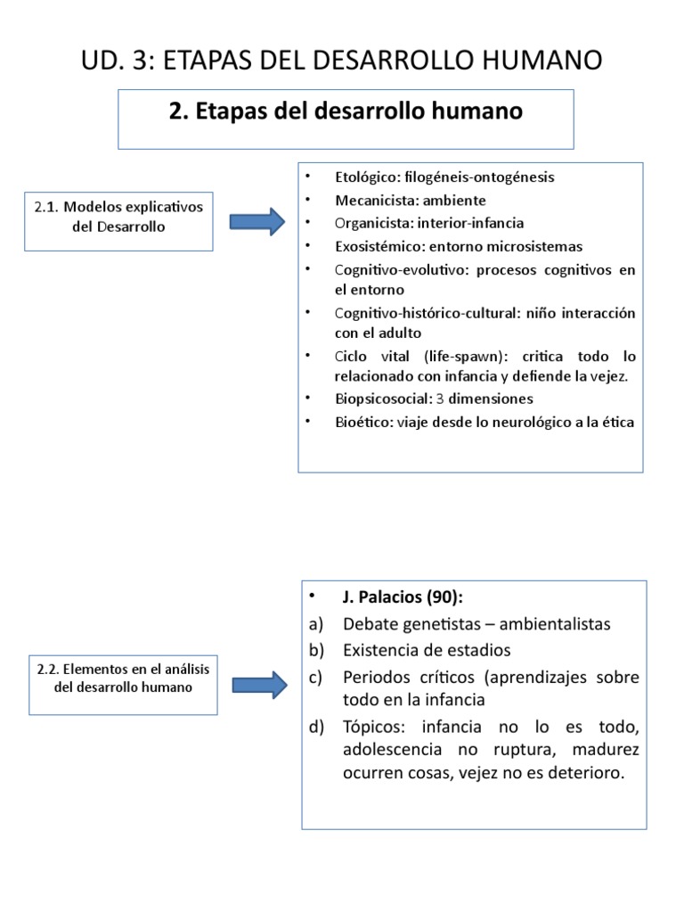 Ud3 Etapas Desarrollo Humano | PDF
