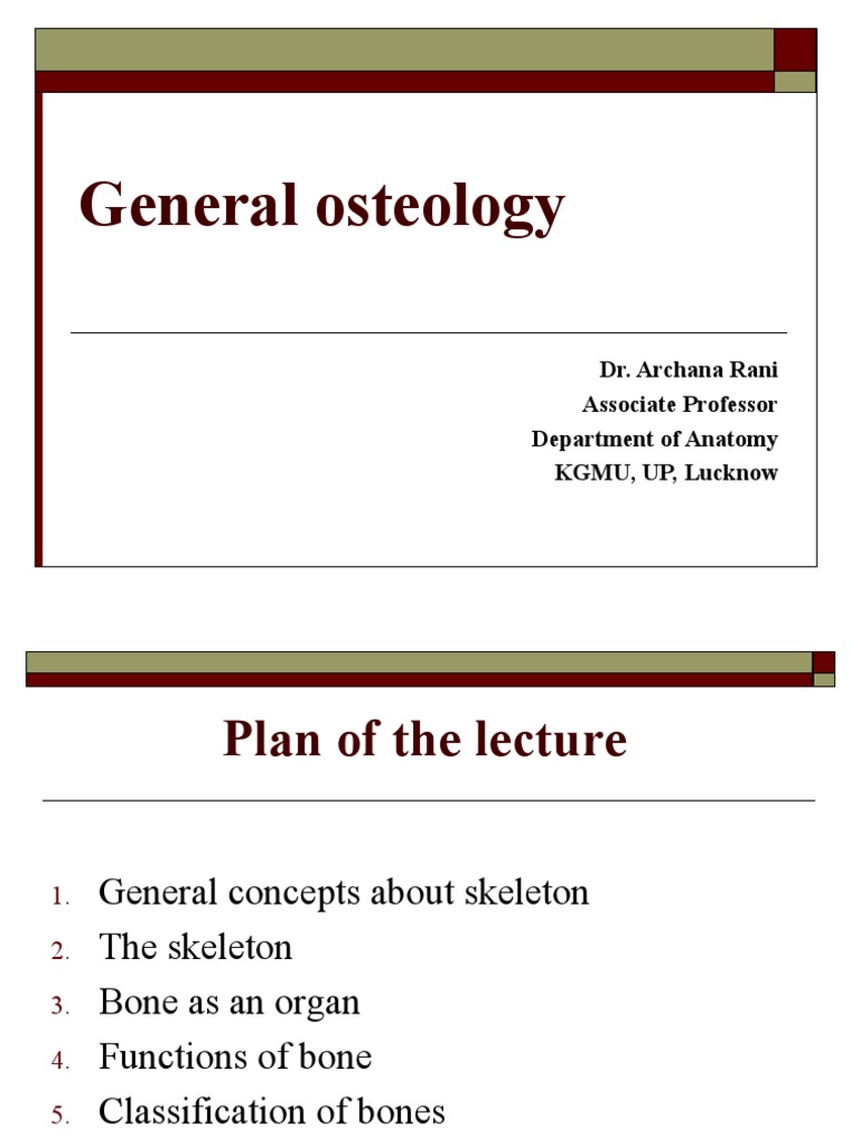 Overview of Human Osteology | PDF | Bone | Skeleton