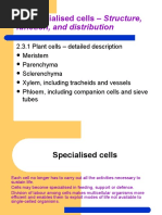 Plants Specialized Structures | PDF