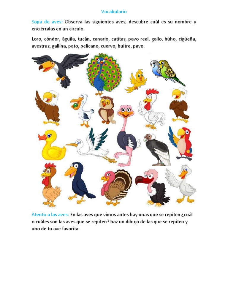 Vocabulario Aves y Herramientas | PDF