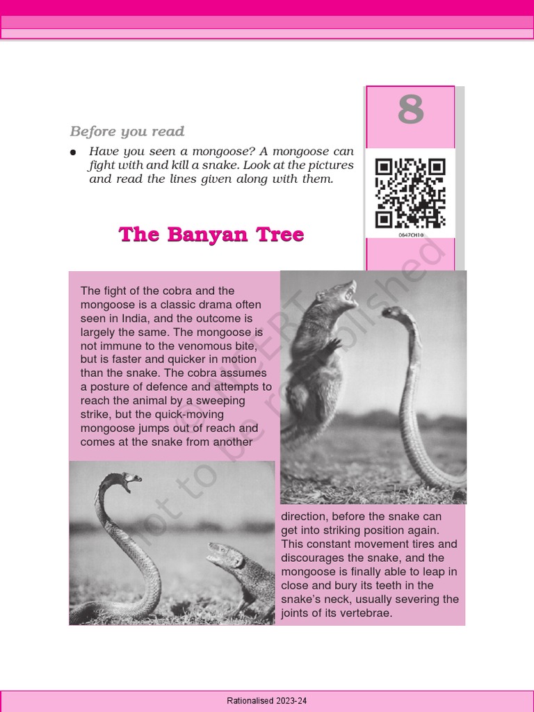 Fehl108 PDF | PDF | Snake