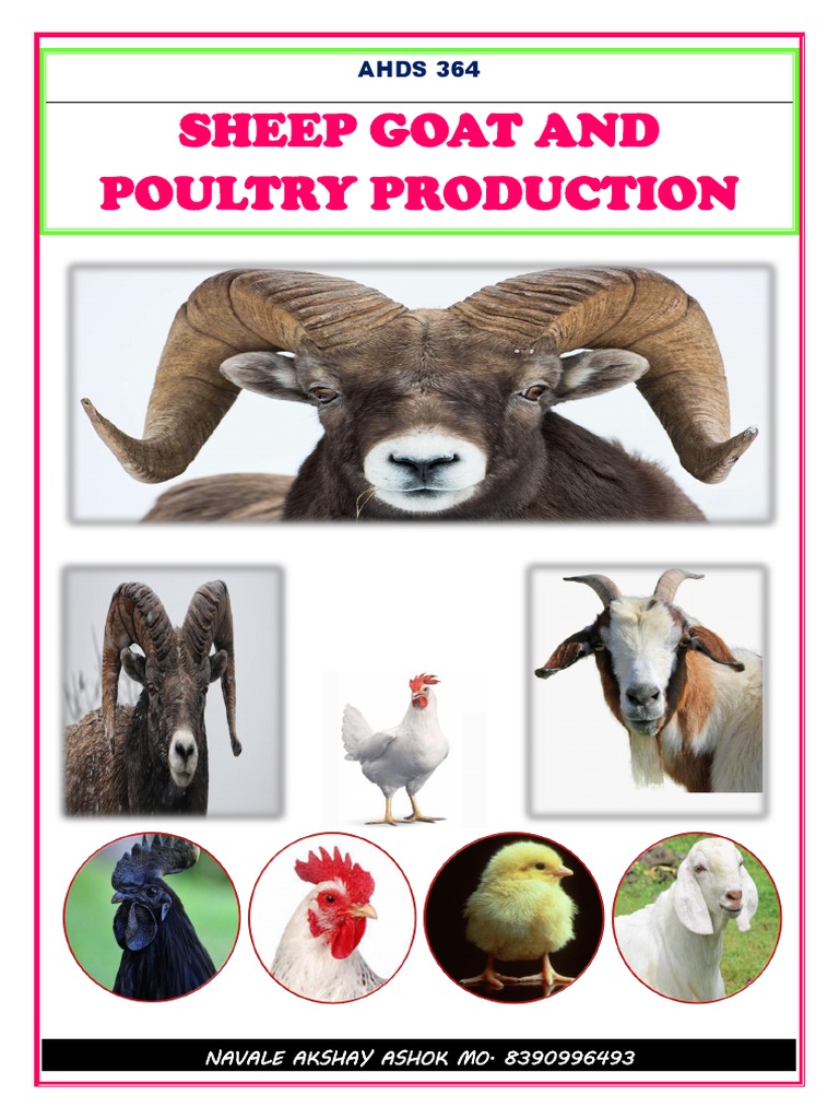 AHDS | PDF | Sheep | Goat