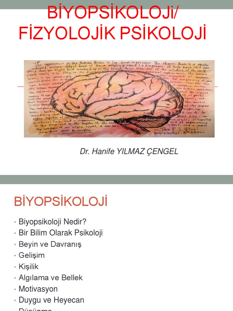 hyc.1.kisa.biyopsikolojiye_giris.pdf | PDF