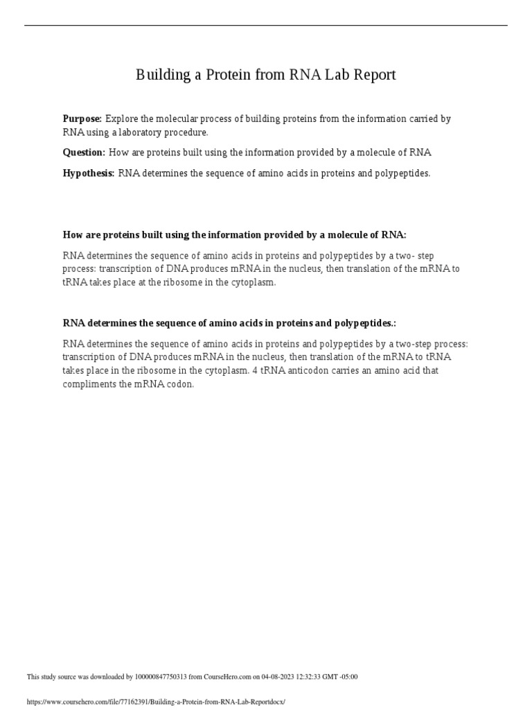 Building A Protein From RNA Lab Report PDF | PDF | Science & Mathematics