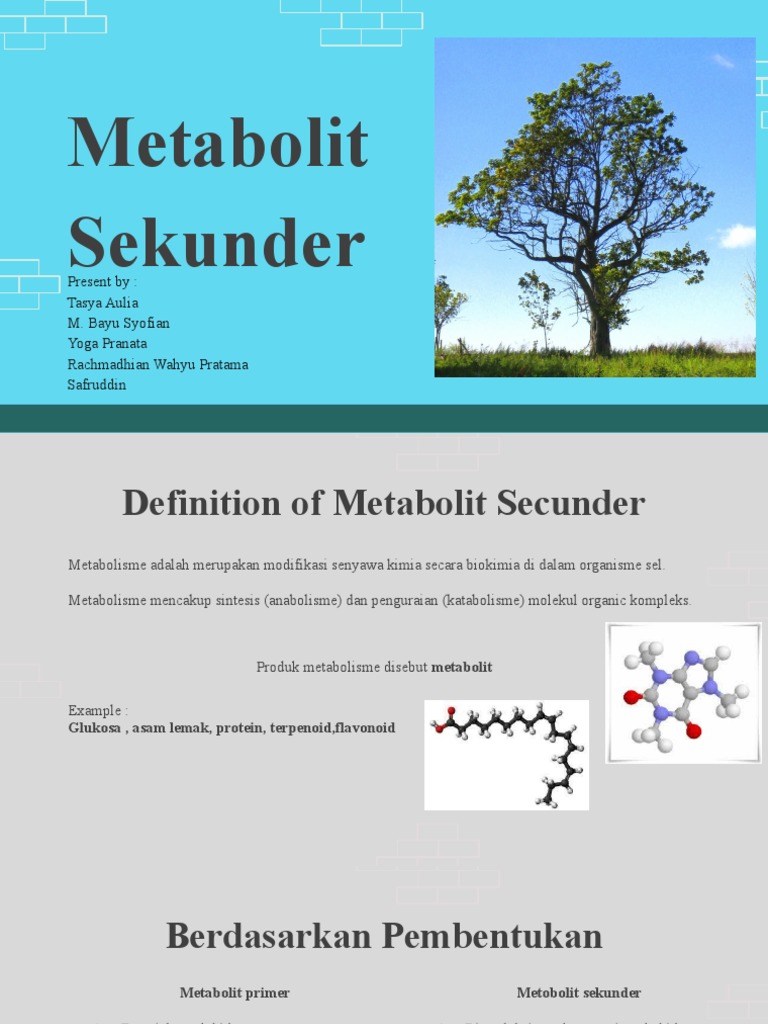 Metabolit Sekunder | PDF