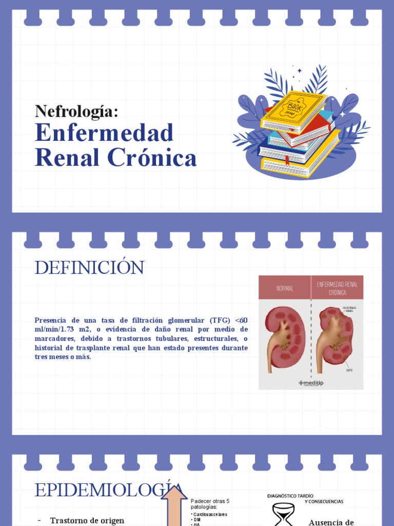 Enfermedad Renal Cronica | PDF | Riñón | Sistema endocrino