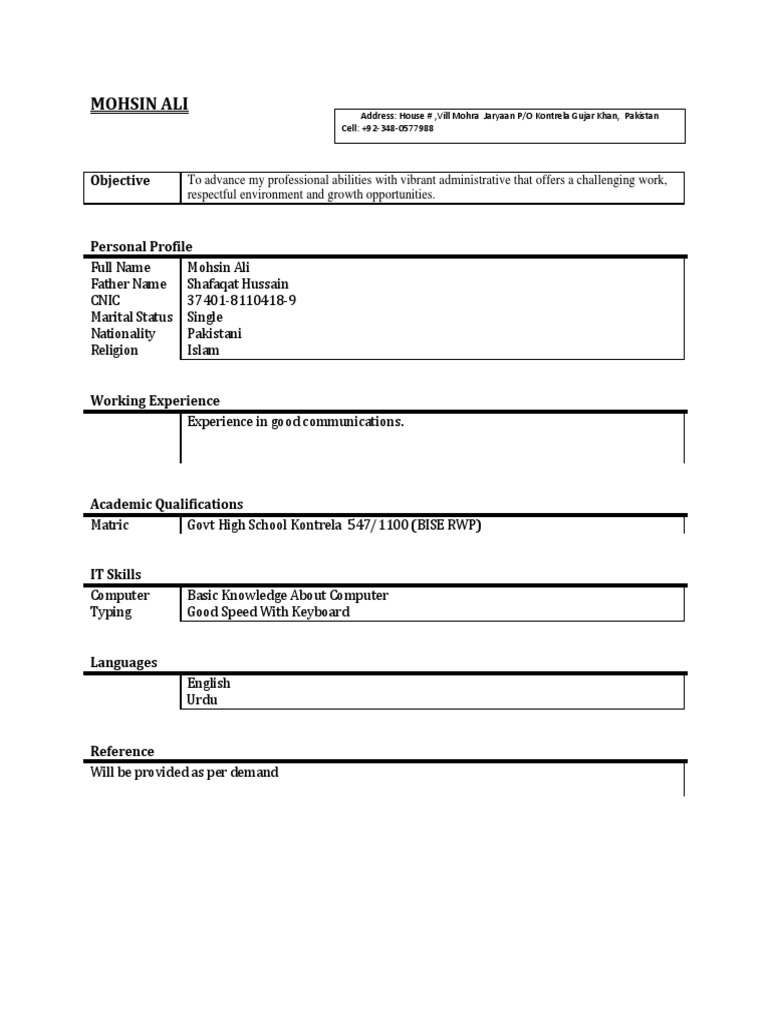 Mohsin CV PDF | PDF