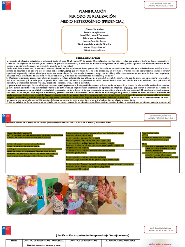 Planificacion Proyecto Explora PDF | PDF | Educación de la primera infancia | Aprendizaje