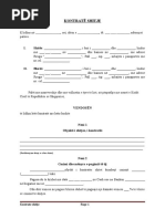 Kontrate Pune Individuale | PDF