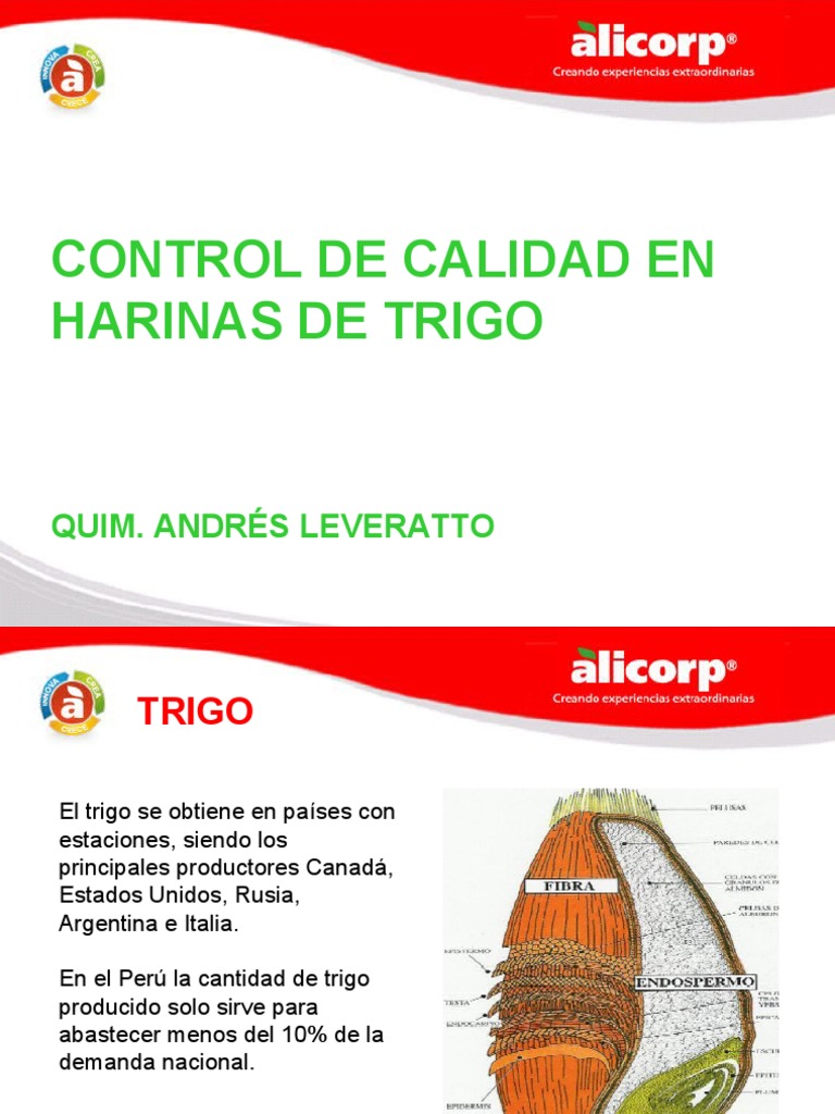 Presentación C. Calidad Harinas de Trigo | PDF | Panes | Gluten