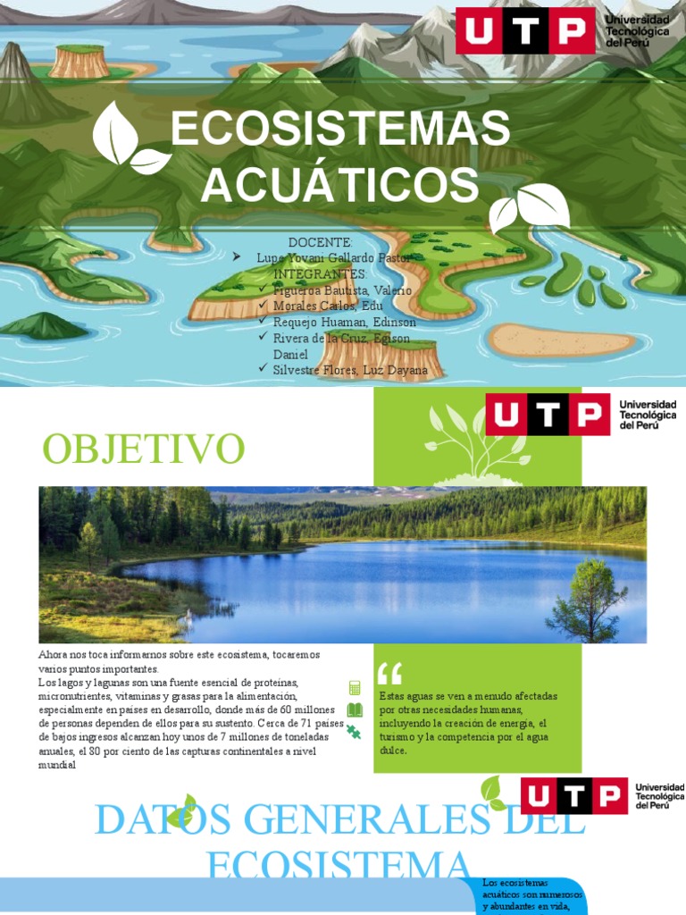 Ecosistema Acuatico | PDF | Ecosistema | Agua