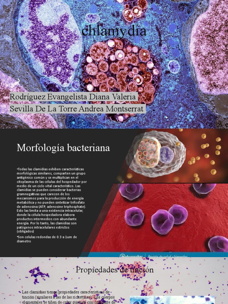 Chlamydia 3 | PDF | Medicina CLINICA | Microbiología