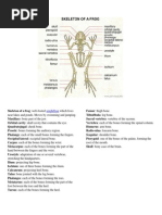 Mouse Dissection Guide: Anatomy Steps | PDF | Kidney | Liver