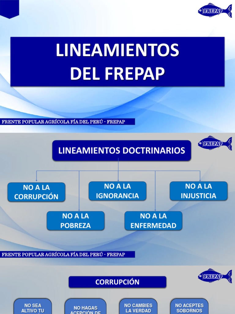 LINEAMIENTOS DEL FREPAP-2022-C | PDF