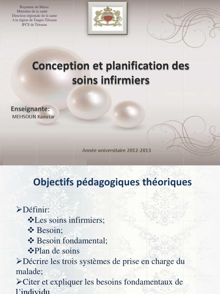 Conceptualisation Et Planification Des Soins PDF | PDF