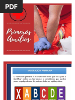 Protocolo XABCDE | PDF