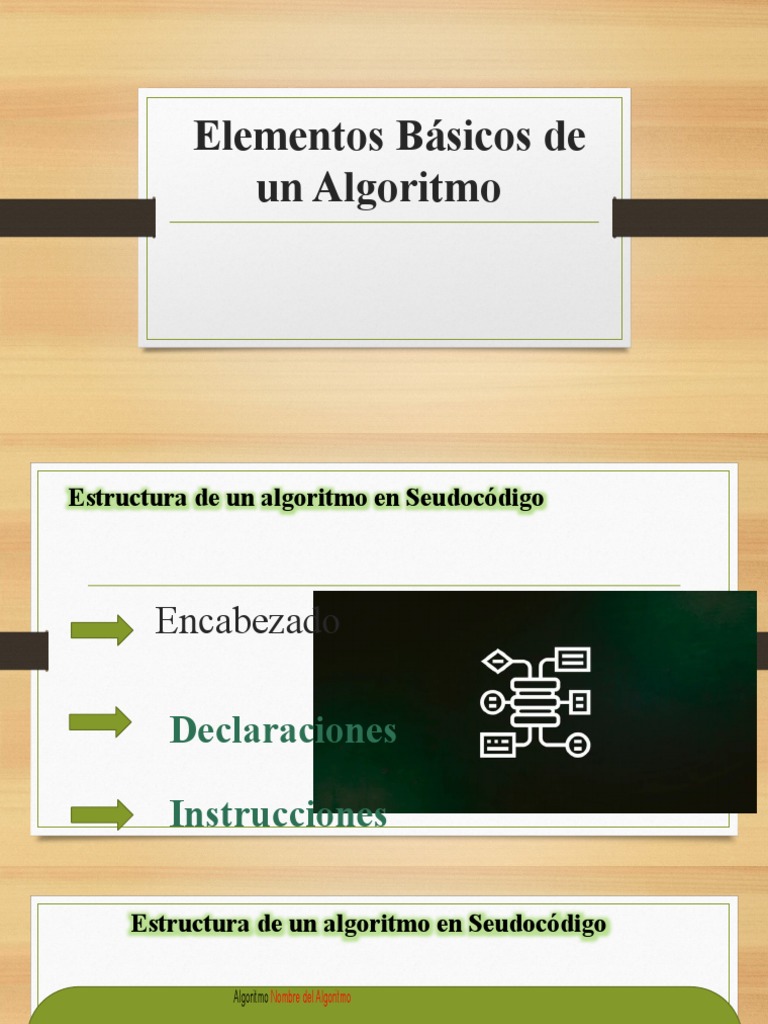Elementos Básicos de Un Algoritmo | PDF | Tipo de datos | Algoritmos