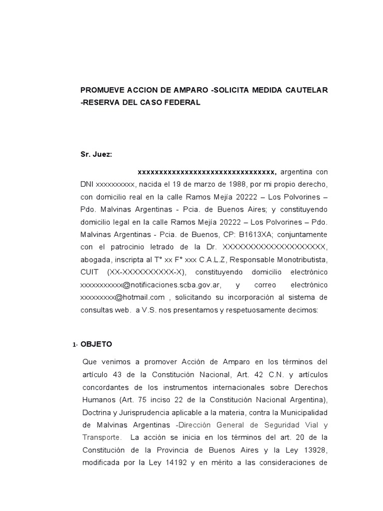 Promueve Accion De Amparo Modelo Pdf Mandato Derecho Constitucional