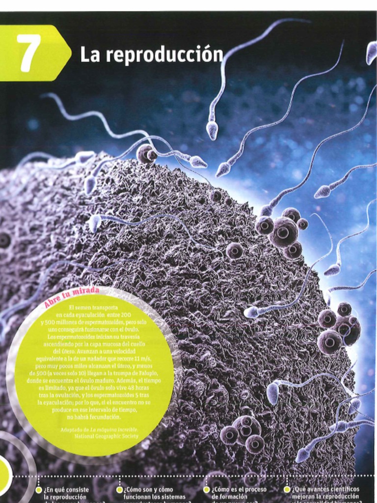 Tema 7 Biología Castellano | PDF