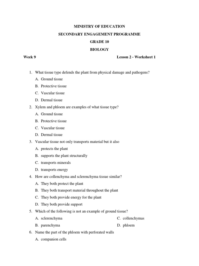 Plant Tissue Types for Grade 10 Biology | PDF
