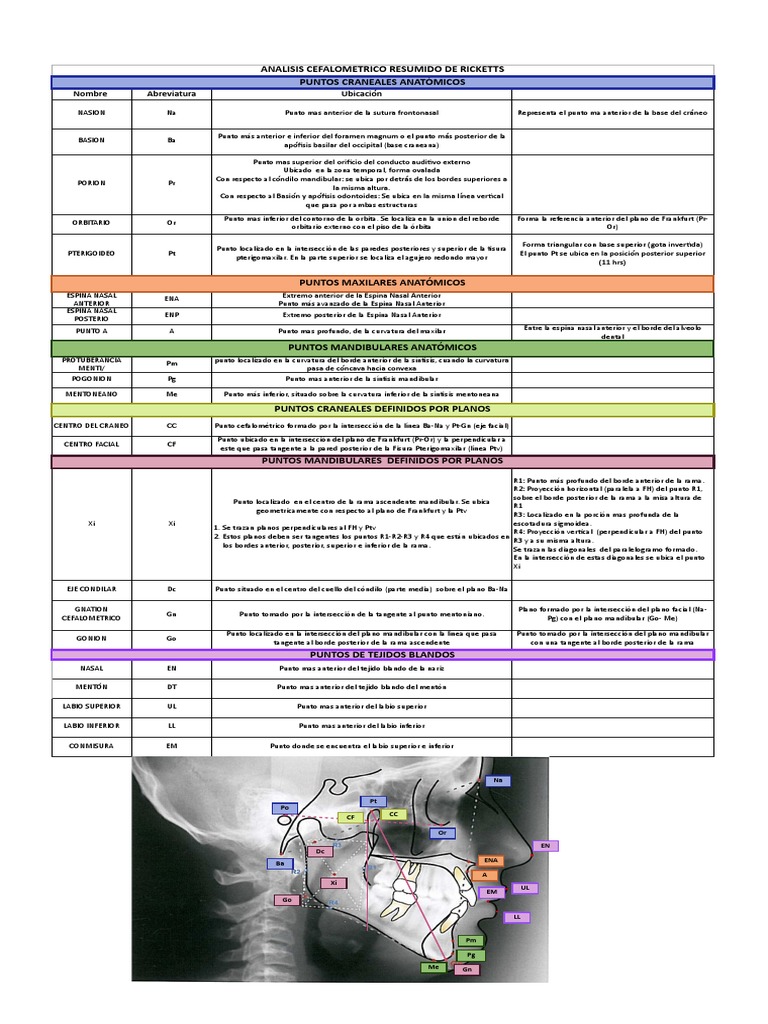 Rickets 2 PDF | PDF | Anatomía humana | Cabeza y cuello humanos