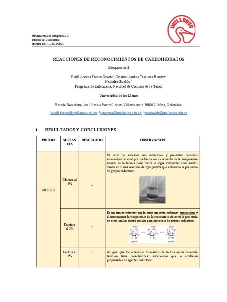 Reacciones de Reconocimiento de Carbohidratos | PDF
