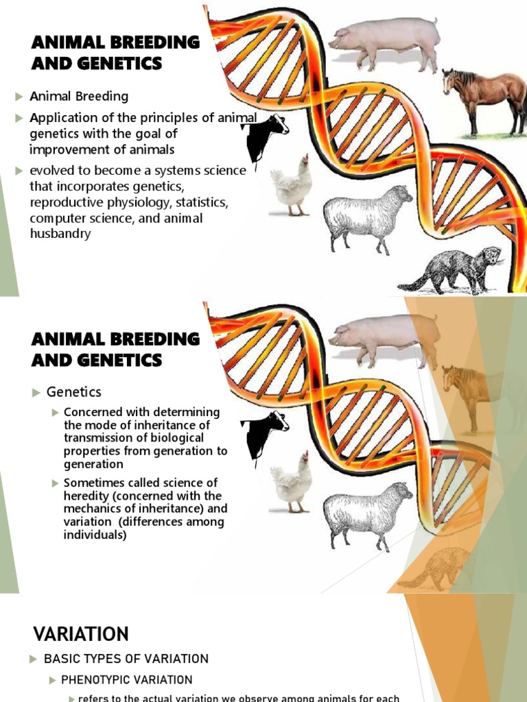 Principles of Animal Breeding and Genetics | PDF