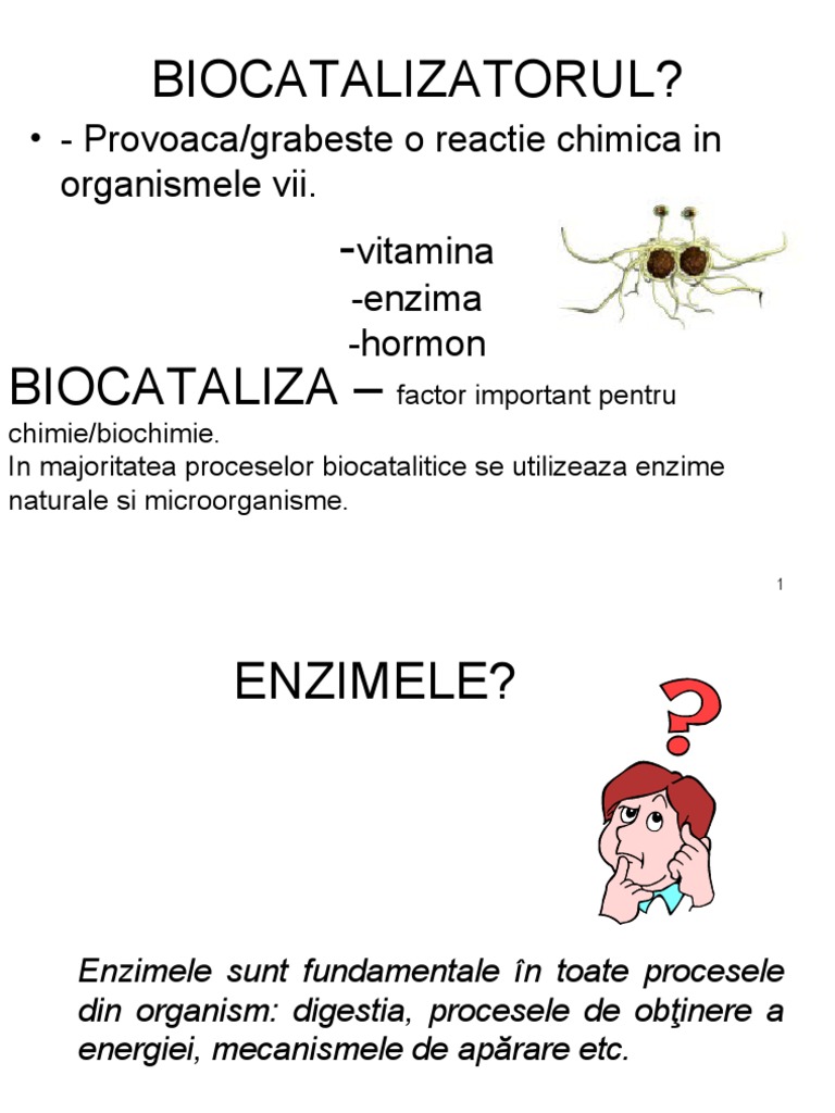 Enzime 6,7 | PDF