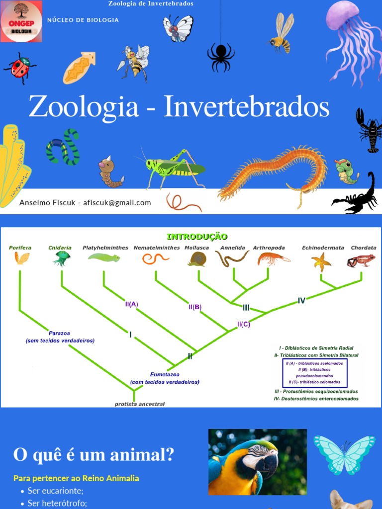 Zoologia de Invertebrados | PDF
