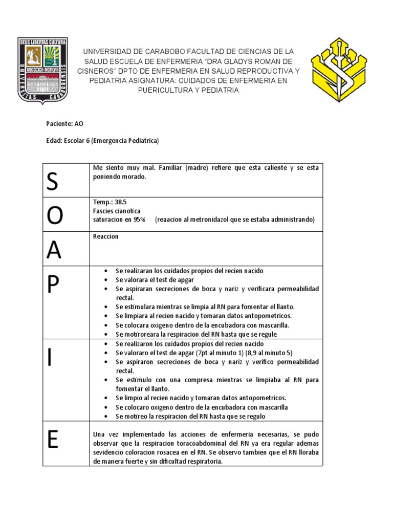 SOAPIE en Cuidados Neonatales y Parto | PDF | Parto | Dolor