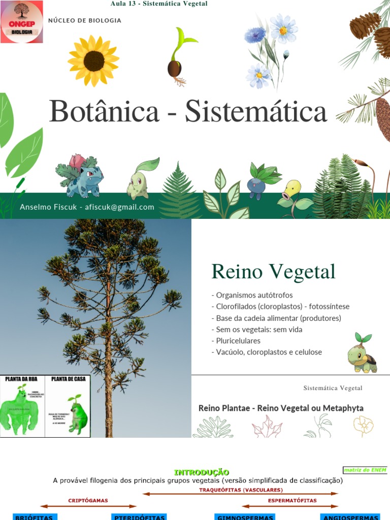 Sistemática Vegetal | PDF | Plantas | Fruta