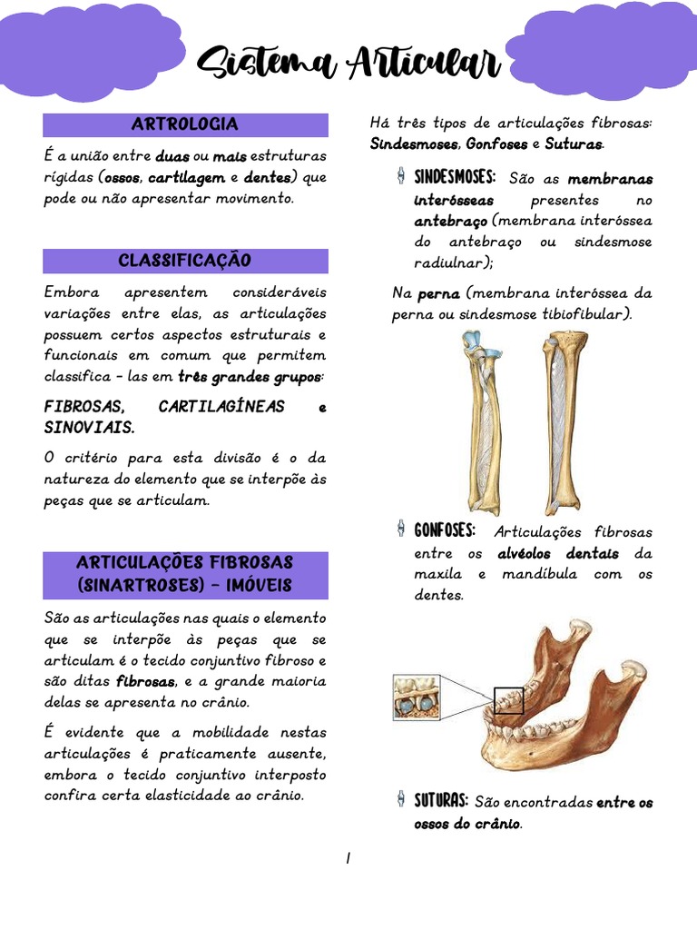 Sistema Articular AULA 3 | PDF