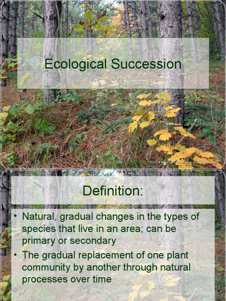 Ecological Succession PPT | PDF | Carbon Cycle | Earth Sciences