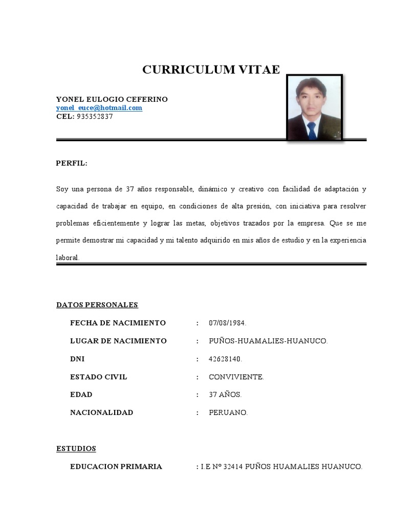 Mec - CV Yonel | PDF