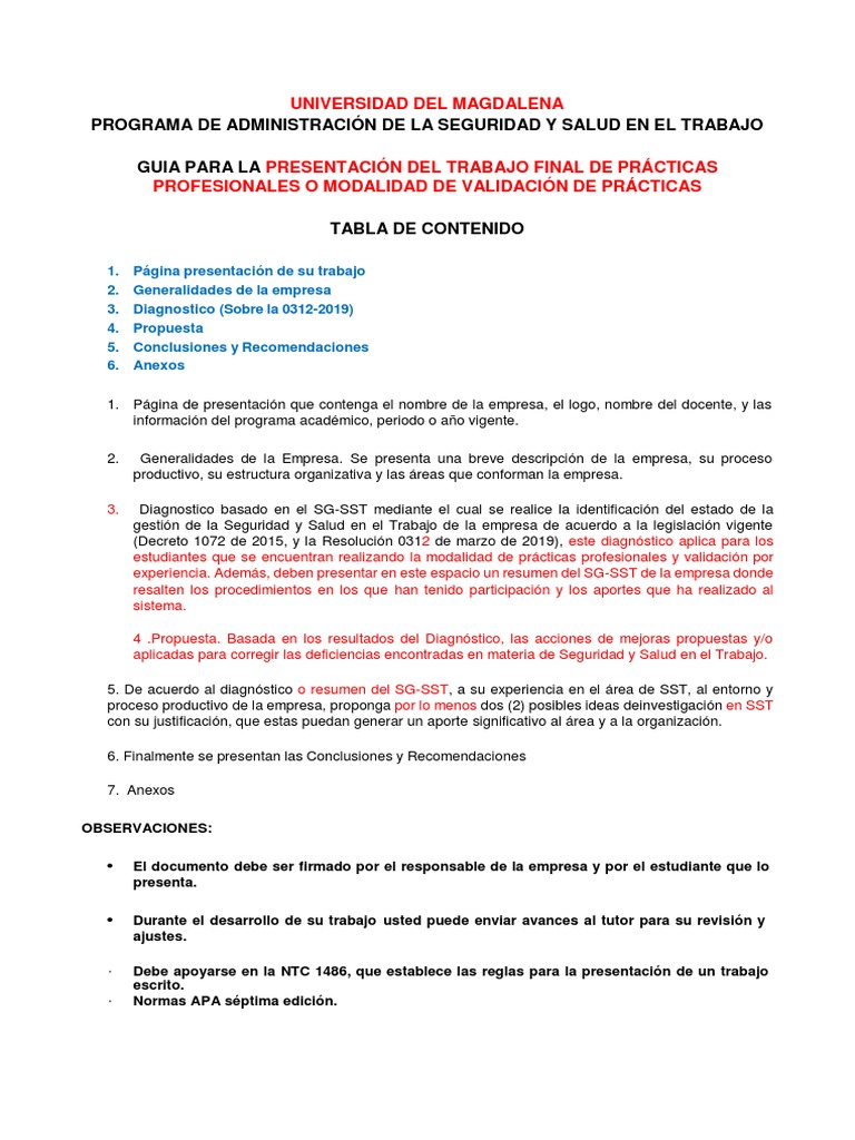 Ex-F42 Admon. Guia para Presentar Informe-Practica Opcion de Grado PDF | PDF