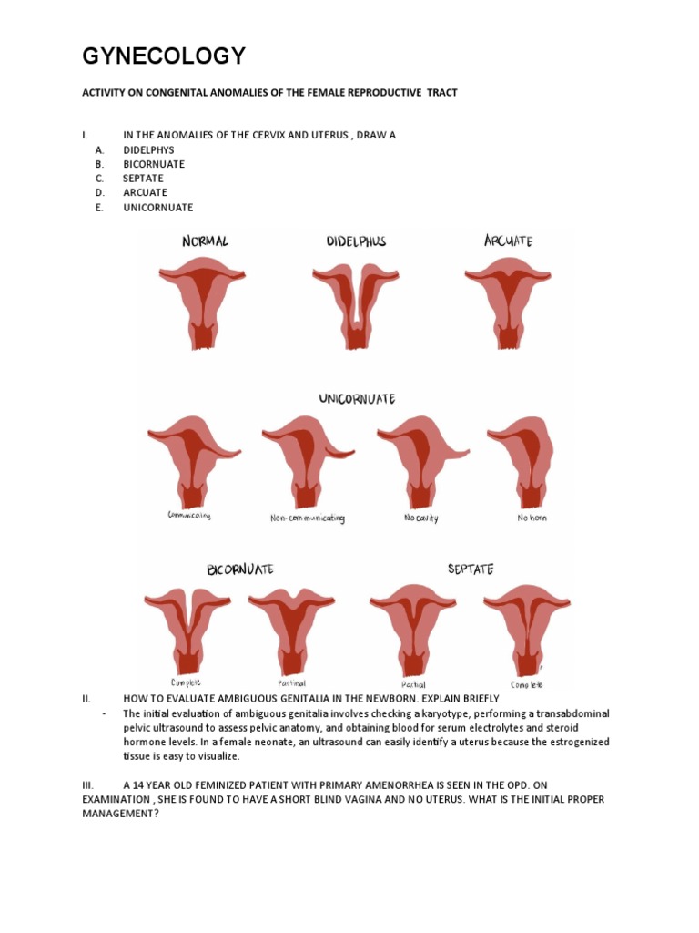 Activity On Congenital Anomalies of The Female | PDF