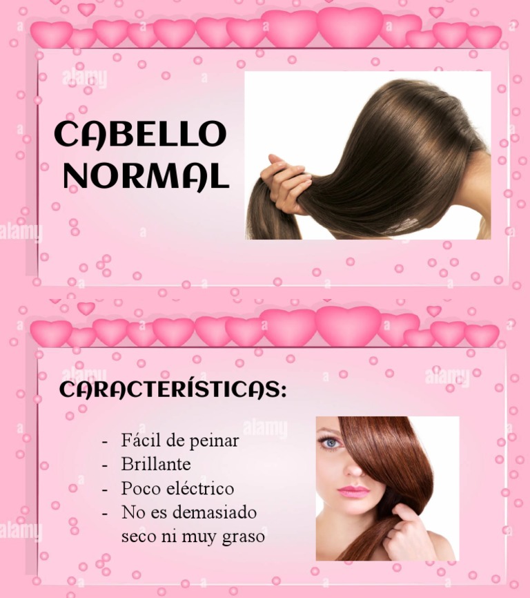 Cabello Normal | PDF