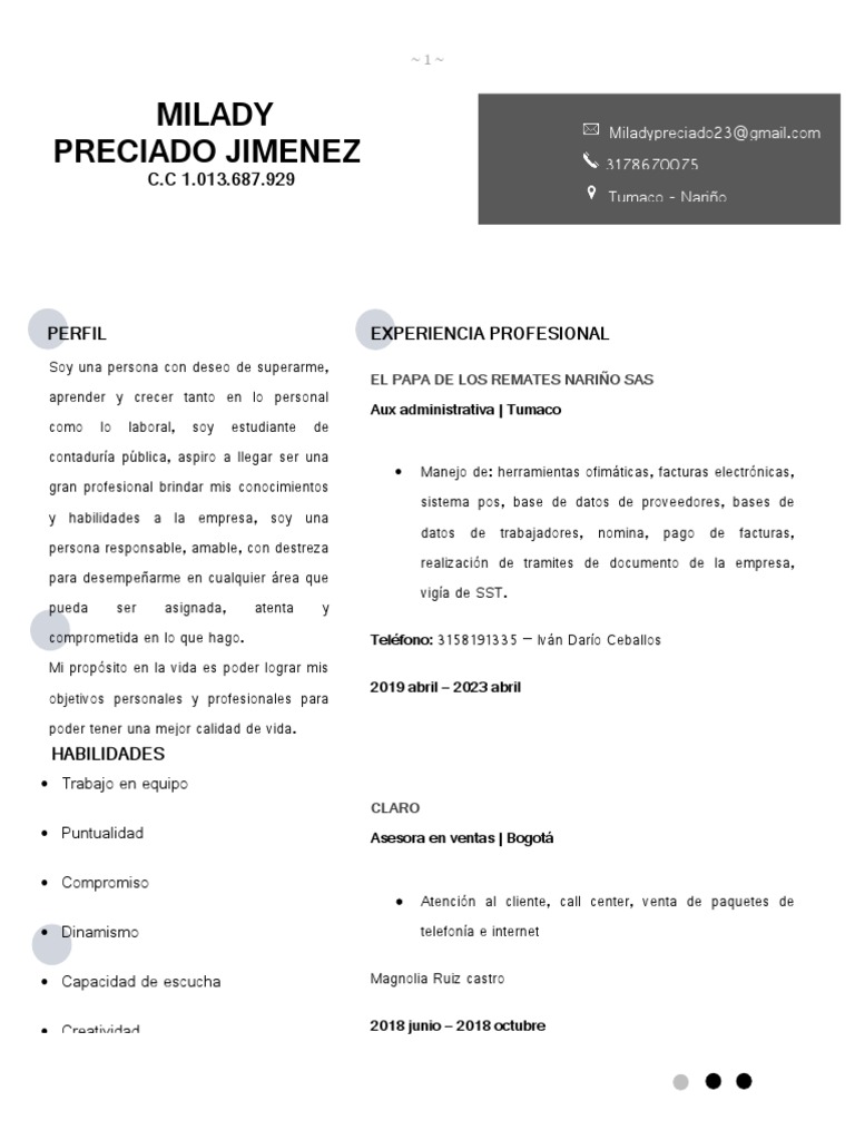 227 Hoja de Vida Formato Word | PDF | Informática | Business