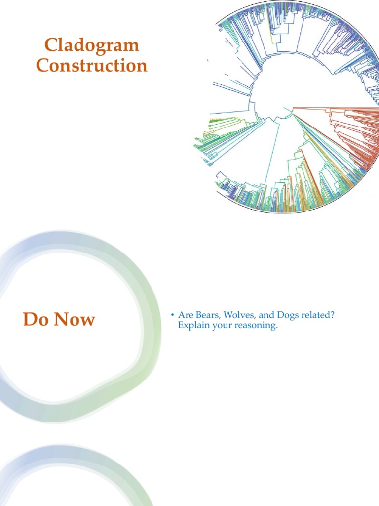 Cladogram Construction | PDF