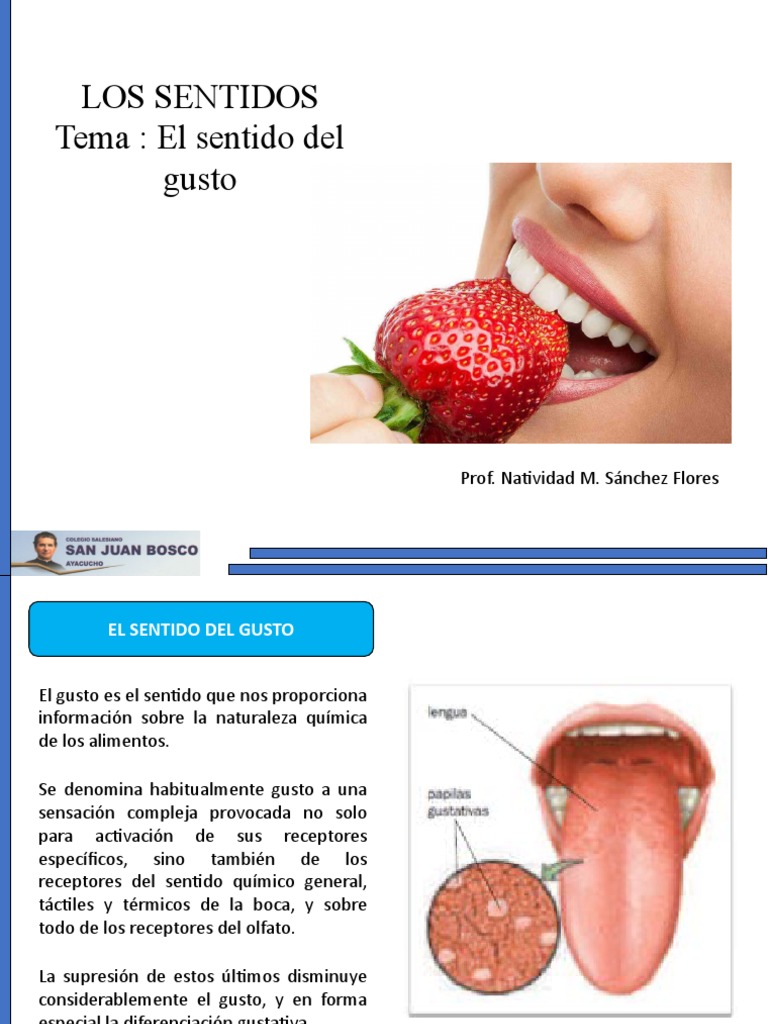 06 Clase - El Sentido Del Gusto | PDF | Gusto | Anatomía