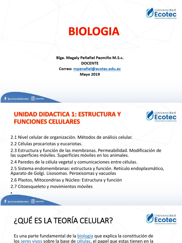Estructura y Funciones Celulares | PDF | Biología Celular) | Nucleo celular