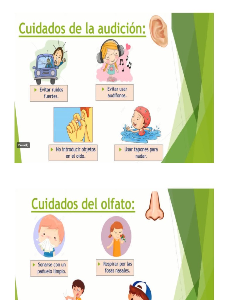cuidados de los 5 sentidos | PDF