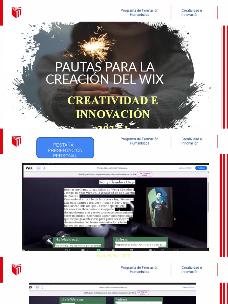Pautas para el wix. 2023.MODELO.pptx | PDF